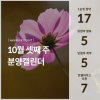 10월 셋째 주 분양캘린더 ‘더샵강동센트럴시티 등 전국 1만3822가구 분양예정 부동산r114 네이버 블로그